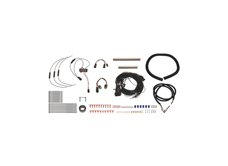 InfoLink | Crown Site